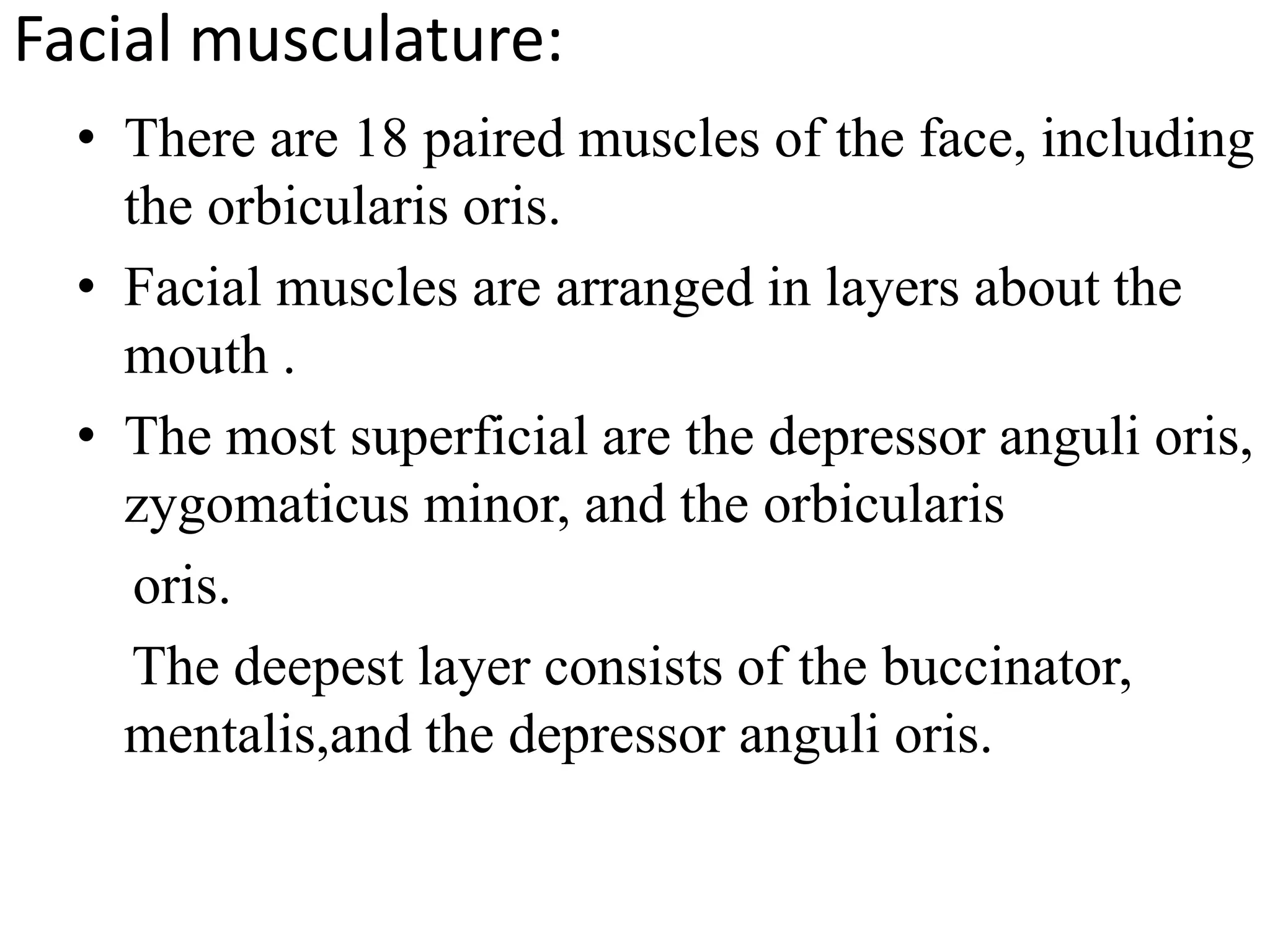 Facial nerve anatomy | PPTX