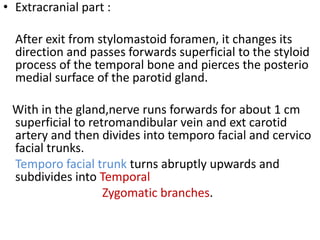 Facial nerve anatomy | PPTX