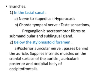 Facial nerve anatomy | PPTX