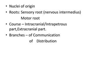 Facial nerve anatomy | PPTX