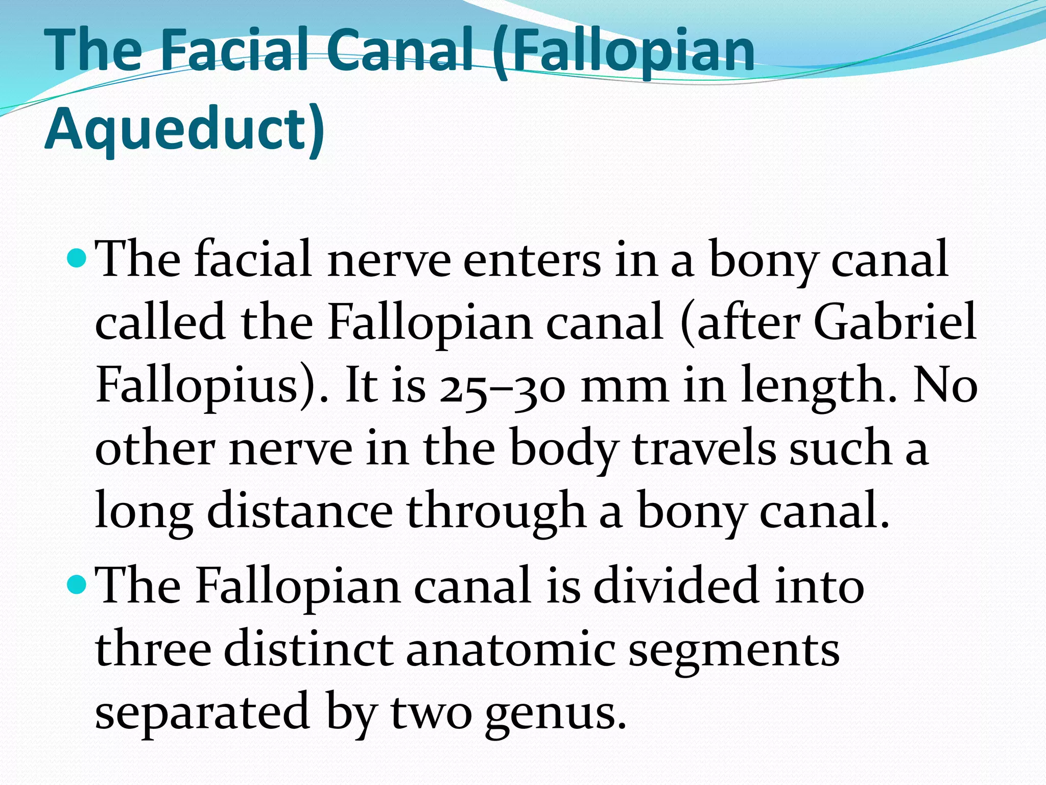 Facial nerve anatomy | PPTX