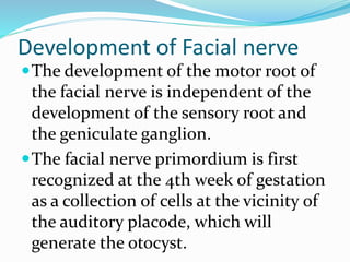 Facial nerve anatomy | PPTX