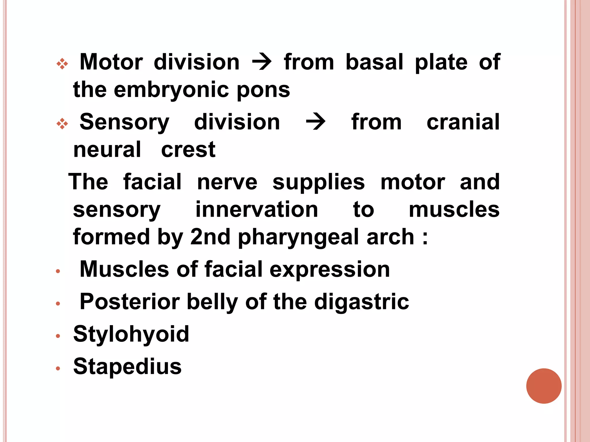 Facial nerve anatomy | PPTX