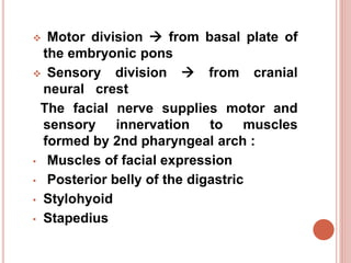 Facial nerve anatomy | PPTX