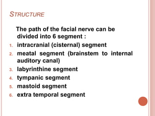 Facial nerve anatomy | PPTX