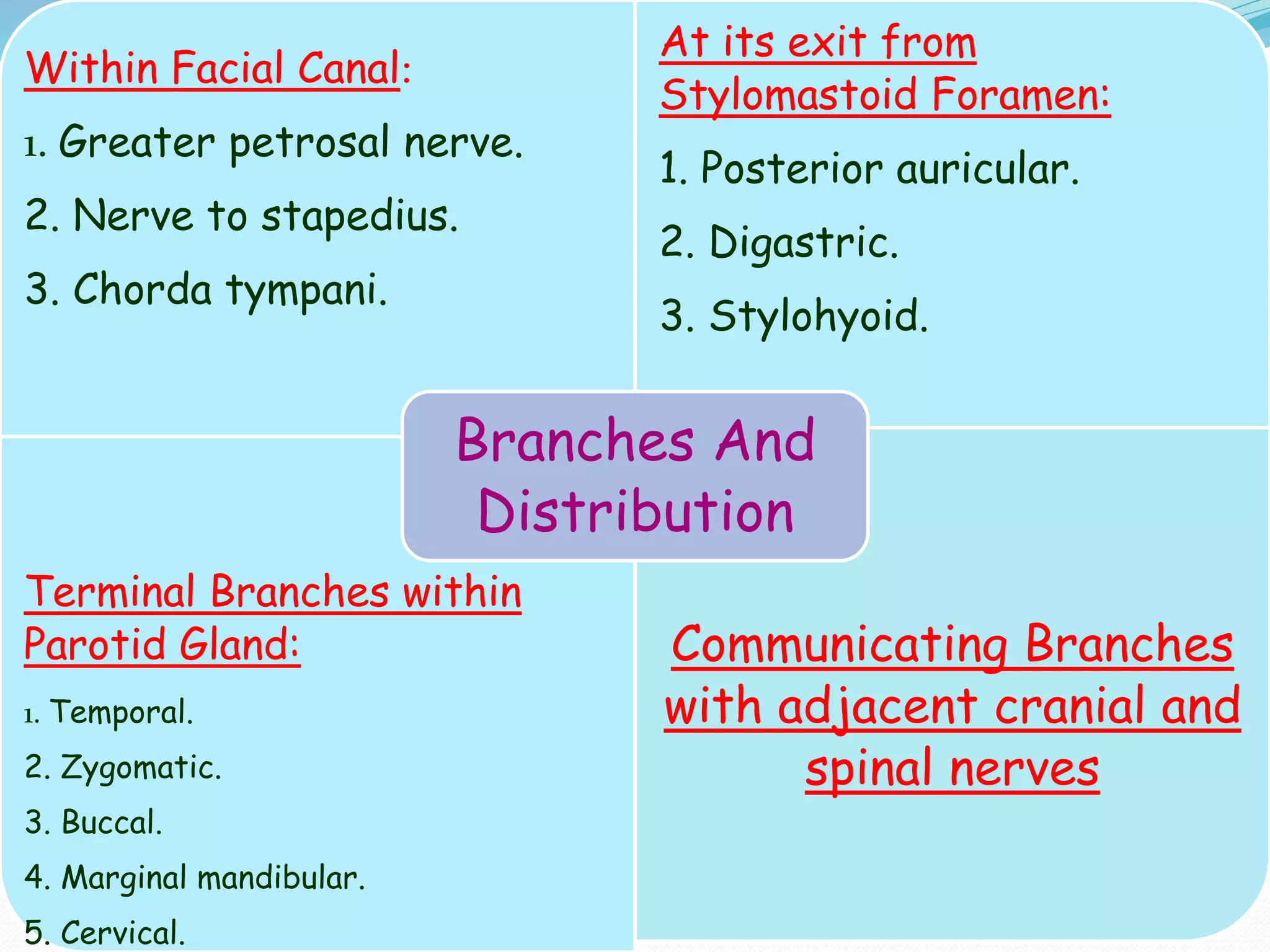 Facial Nerve Anatomy | PPTX