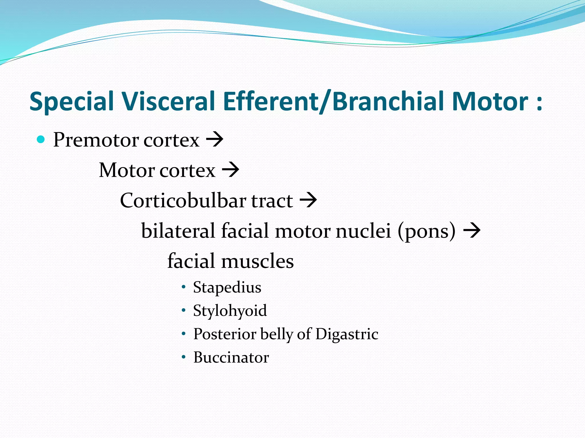 Anatomy of Facial Nerve | PPTX