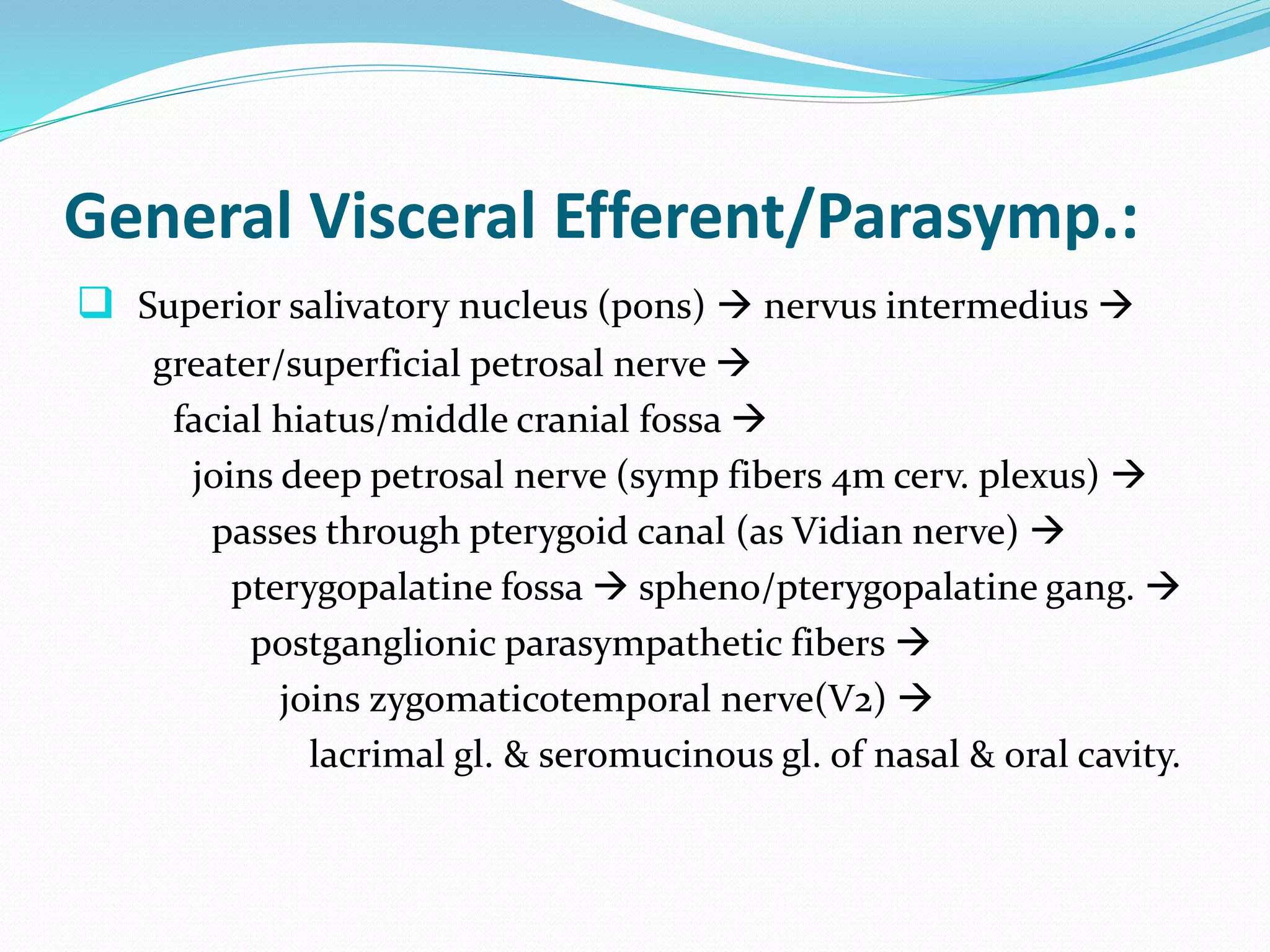 Anatomy of Facial Nerve | PPTX