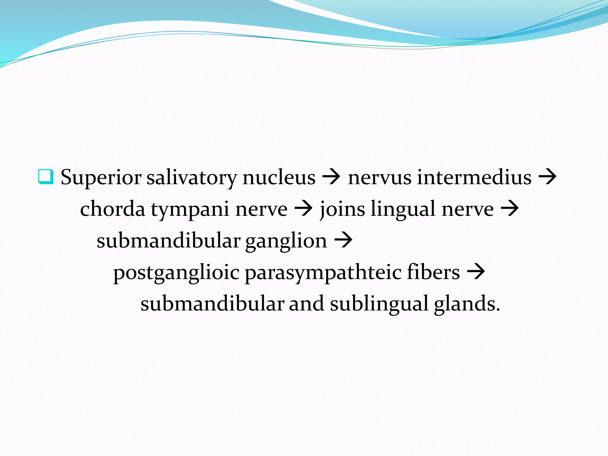 Anatomy of Facial Nerve | PPTX