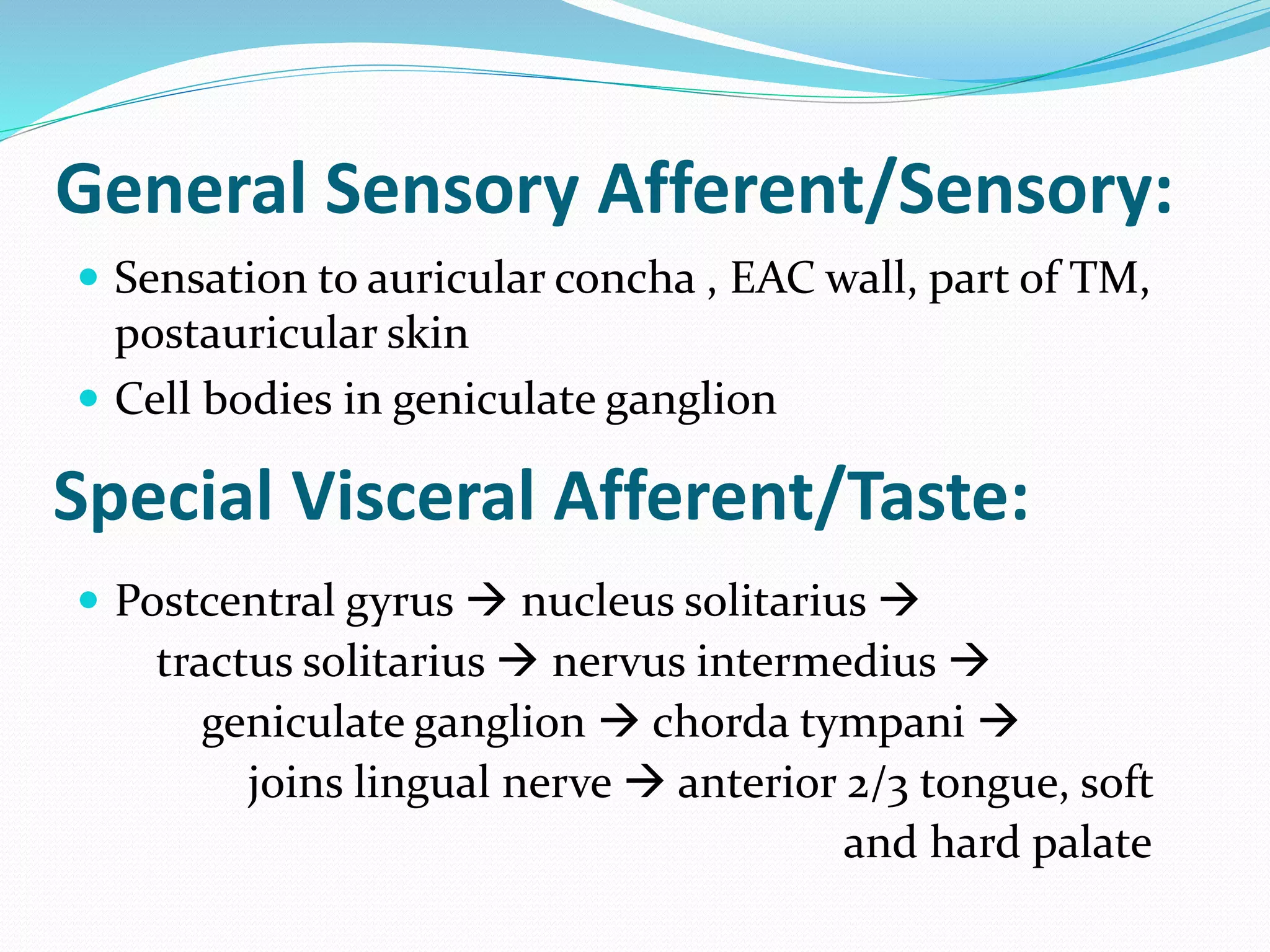 Anatomy of Facial Nerve | PPTX