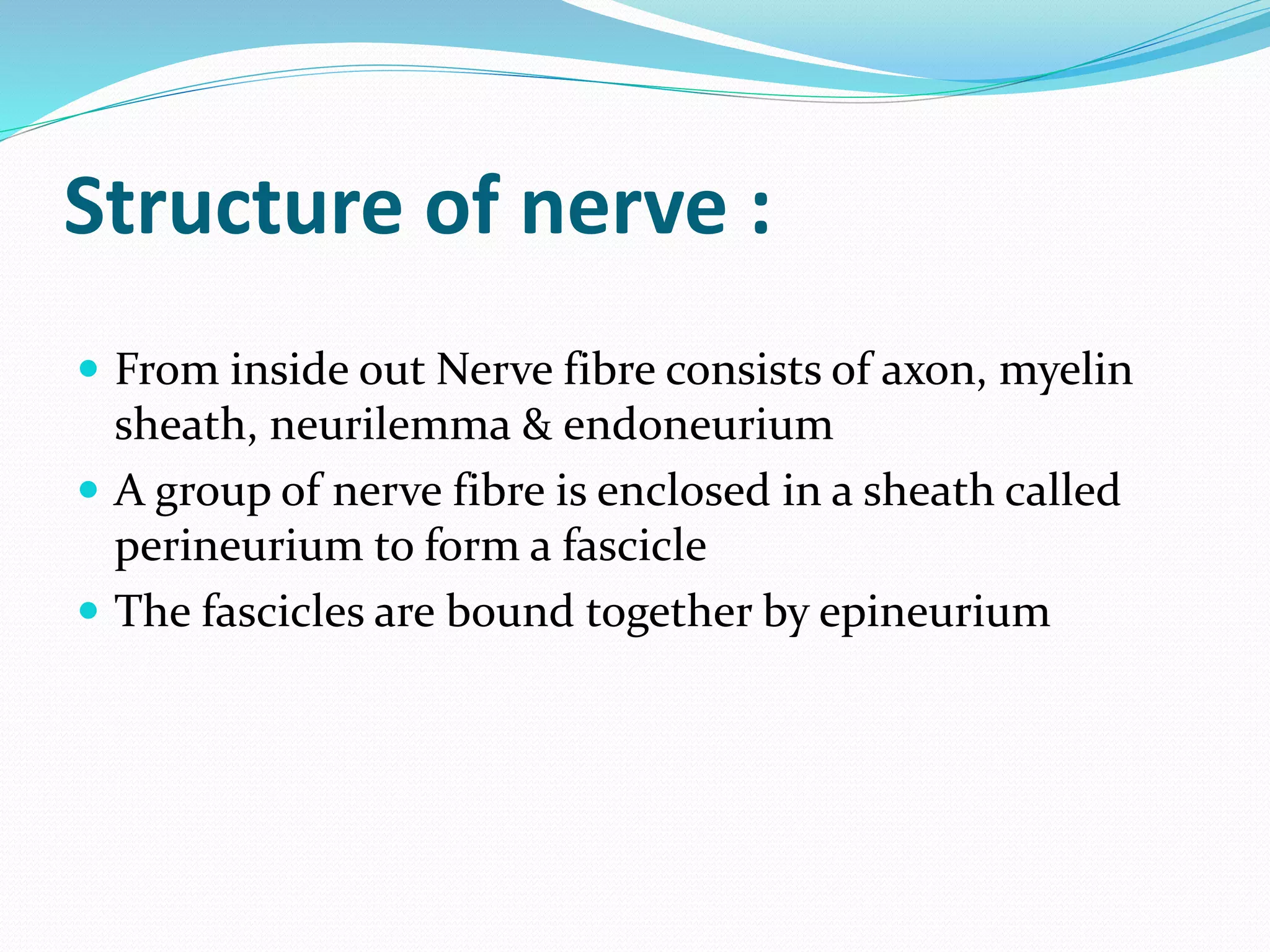 Anatomy of Facial Nerve | PPTX