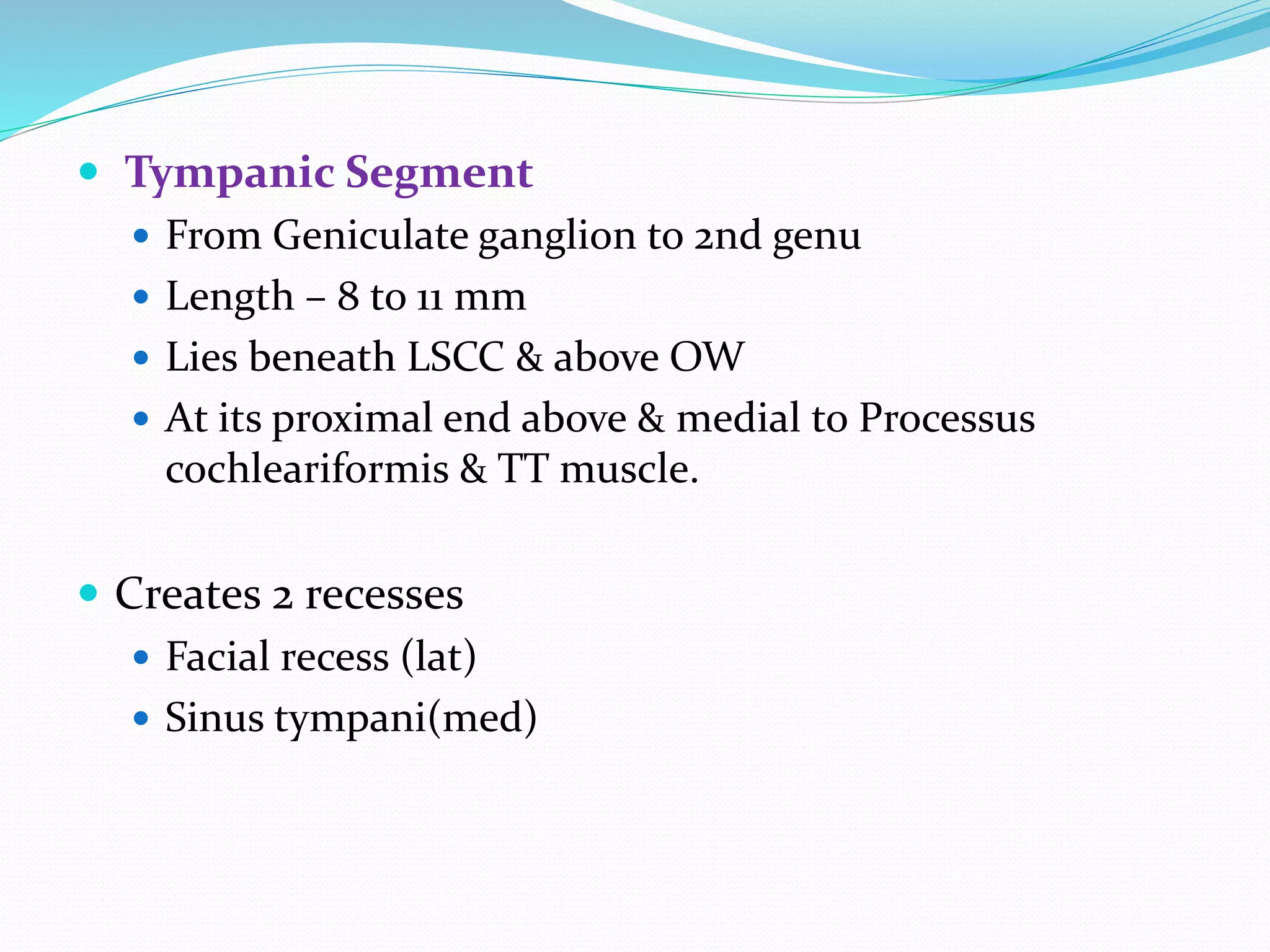 Anatomy of Facial Nerve | PPTX