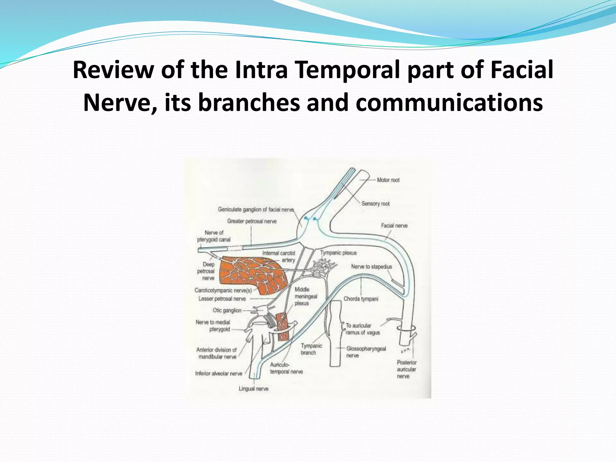 Anatomy of Facial Nerve | PPTX