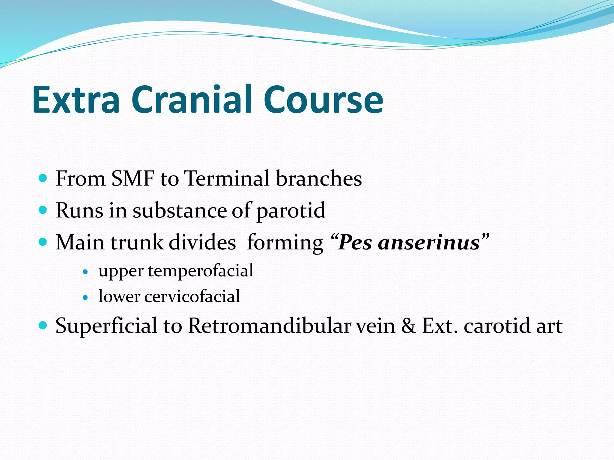 Anatomy of Facial Nerve | PPTX