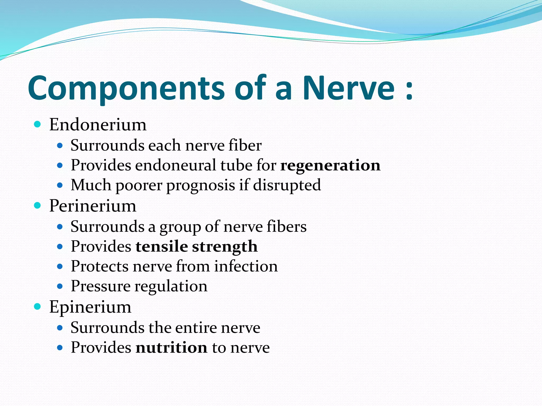 Anatomy of Facial Nerve | PPTX