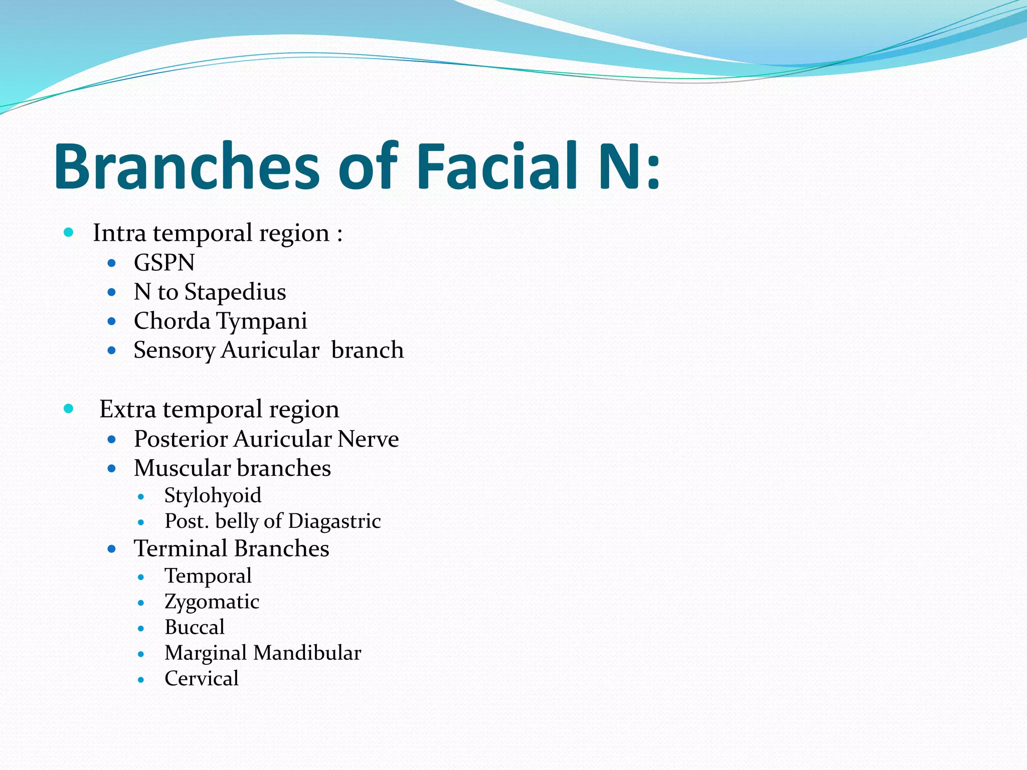 Anatomy of Facial Nerve | PPTX