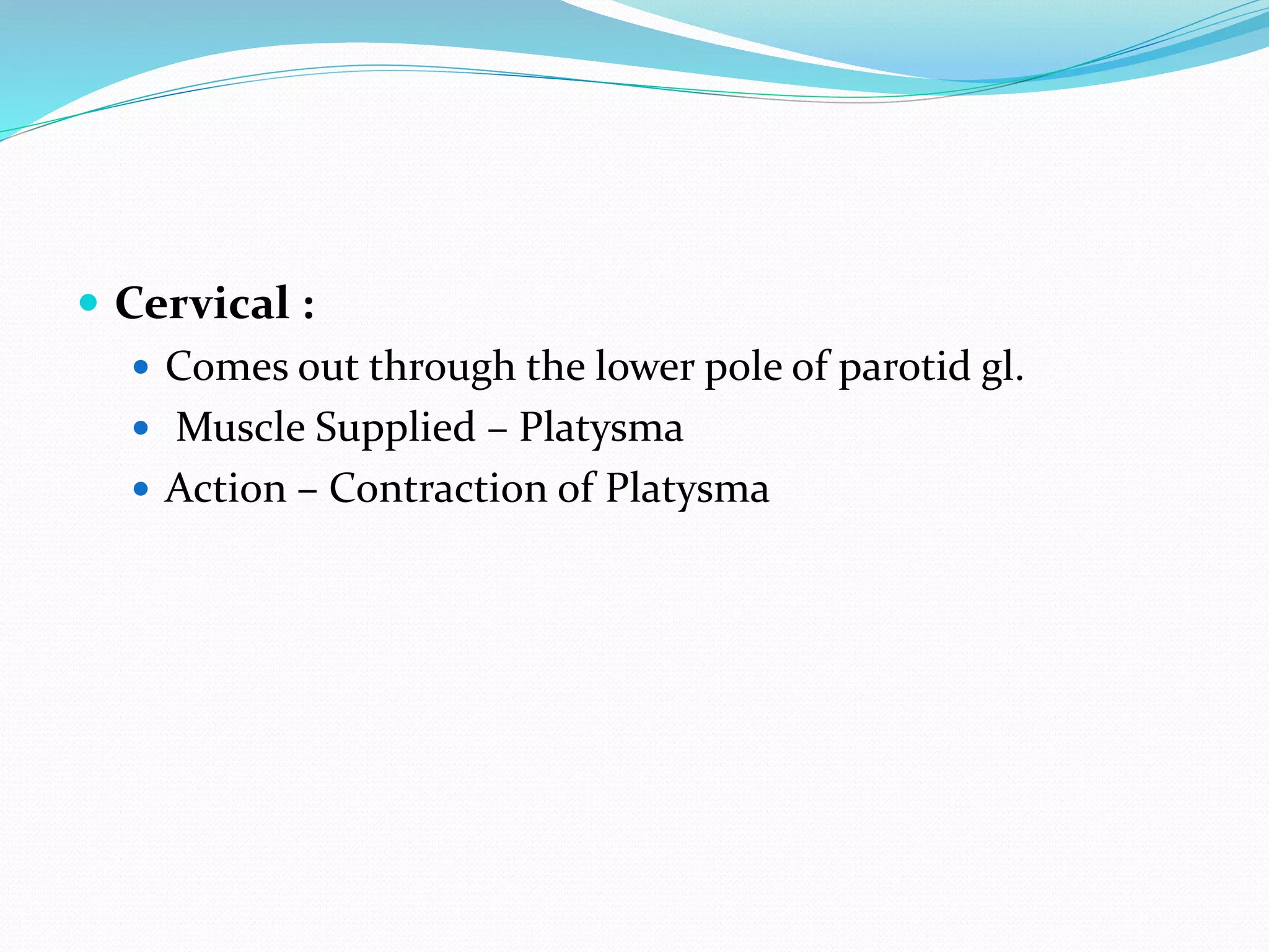 Anatomy of Facial Nerve | PPTX
