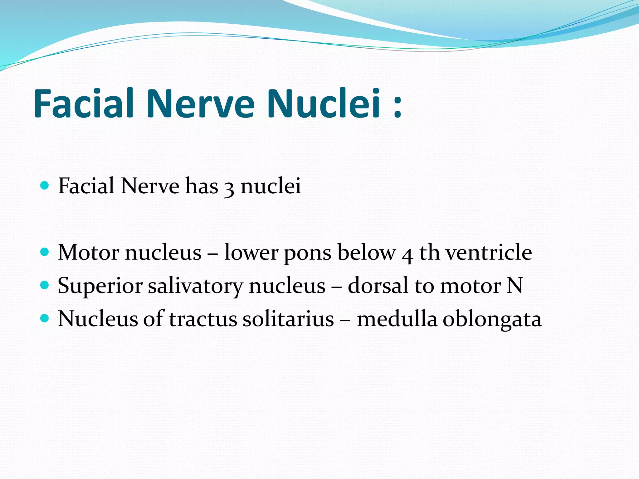 Anatomy of Facial Nerve | PPTX