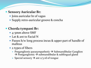 Anatomy of Facial Nerve | PPTX