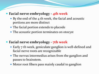 Anatomy of Facial Nerve | PPTX