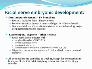 Anatomy of Facial Nerve | PPTX