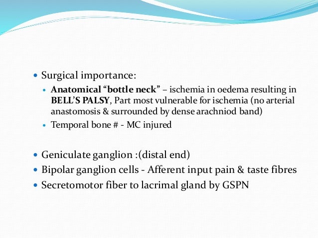 Anatomy of Facial Nerve