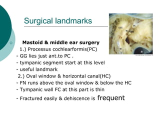 Facial nerve and disorder | PPTX