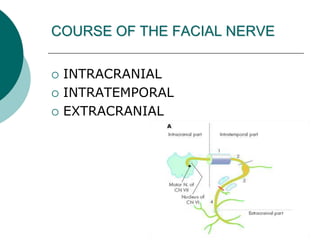 Facial nerve and disorder | PPTX