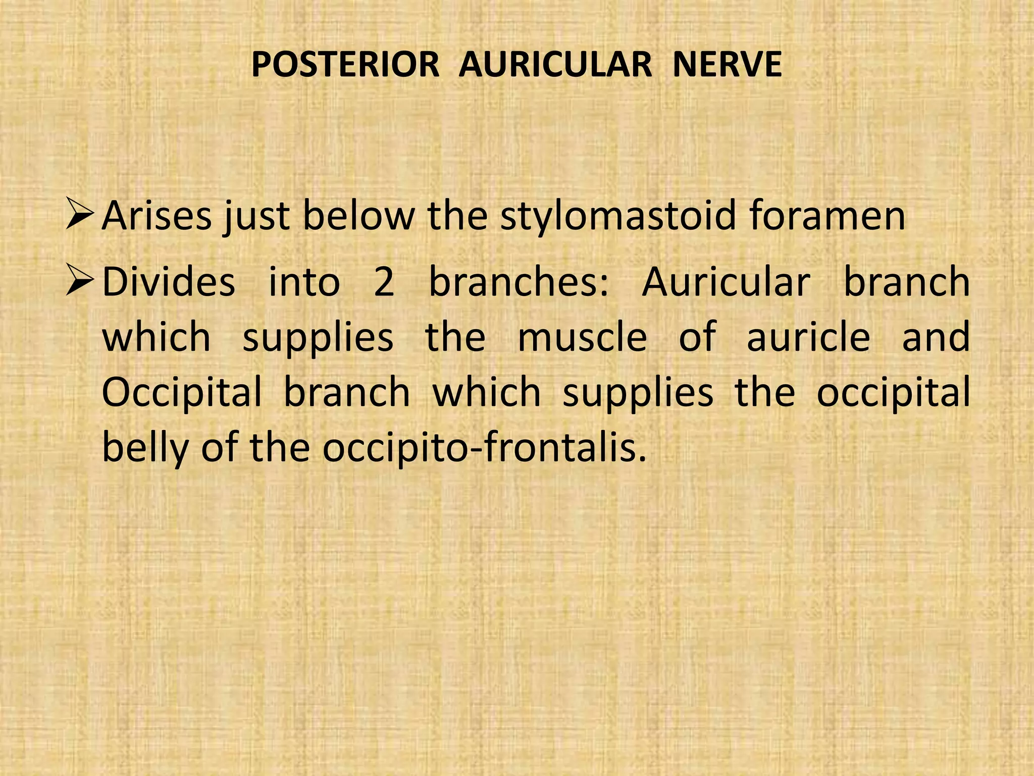 Facial nerve and its applied anatomy | PPTX