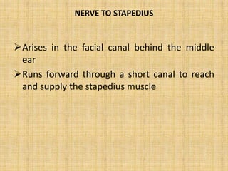 Facial nerve and its applied anatomy | PPTX