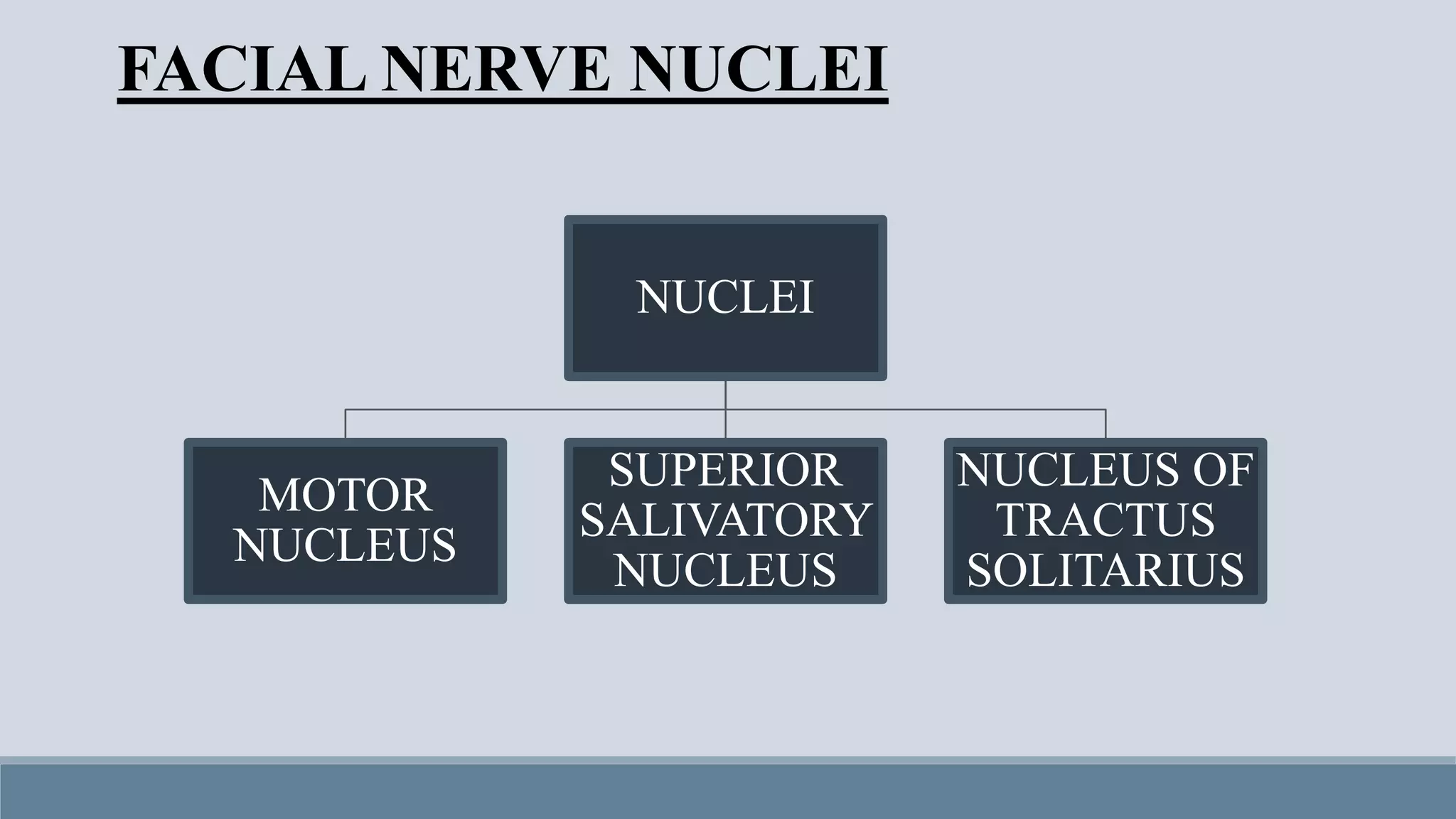 Facial nerve and it's applied aspect | PPTX