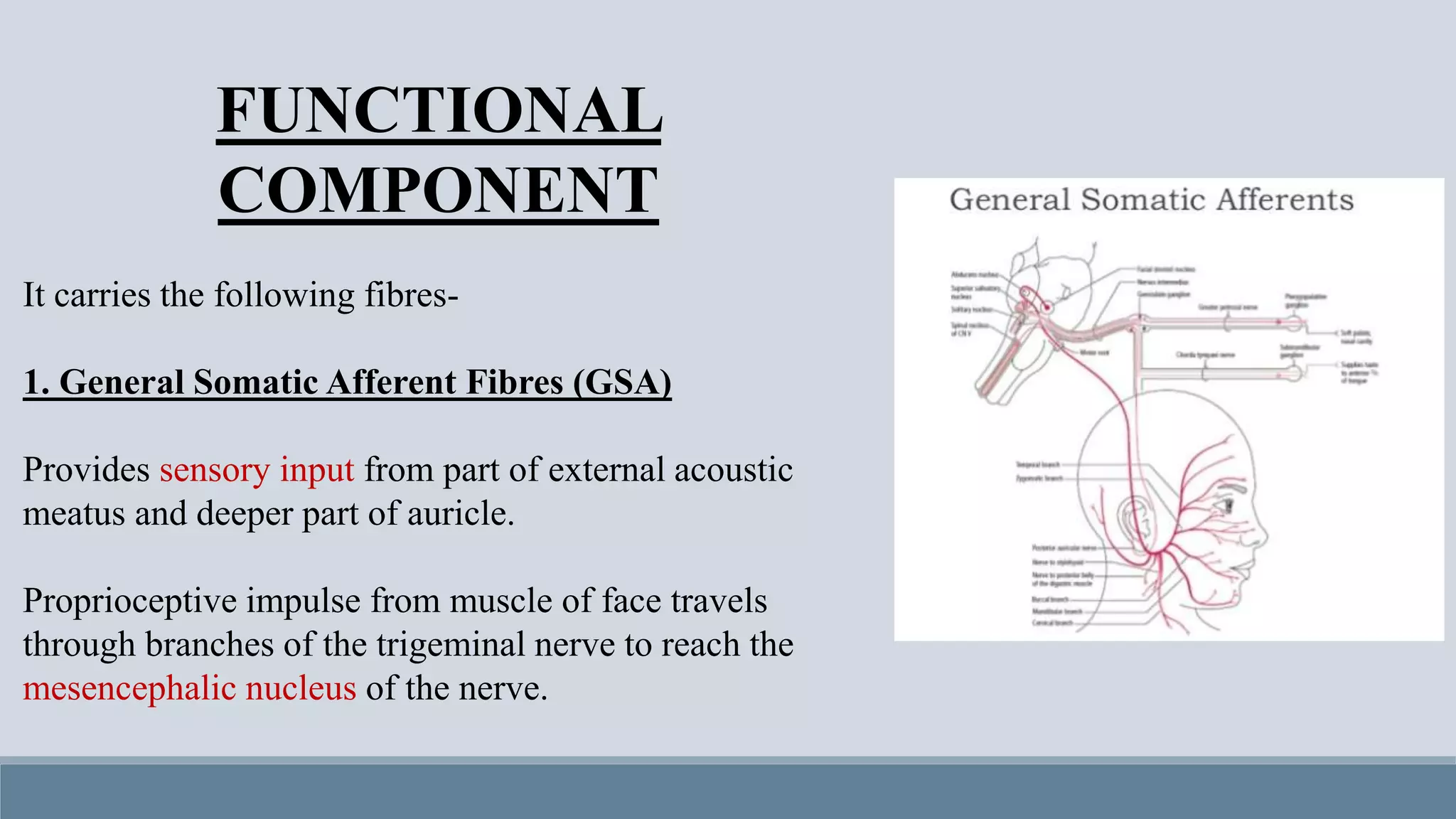 Facial nerve and it's applied aspect | PPTX