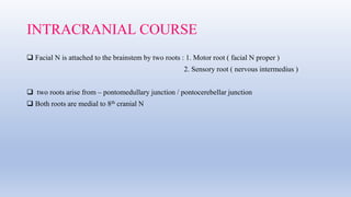 Facial nerve and its applied aspect - seminar 3 [Autosaved].pptx