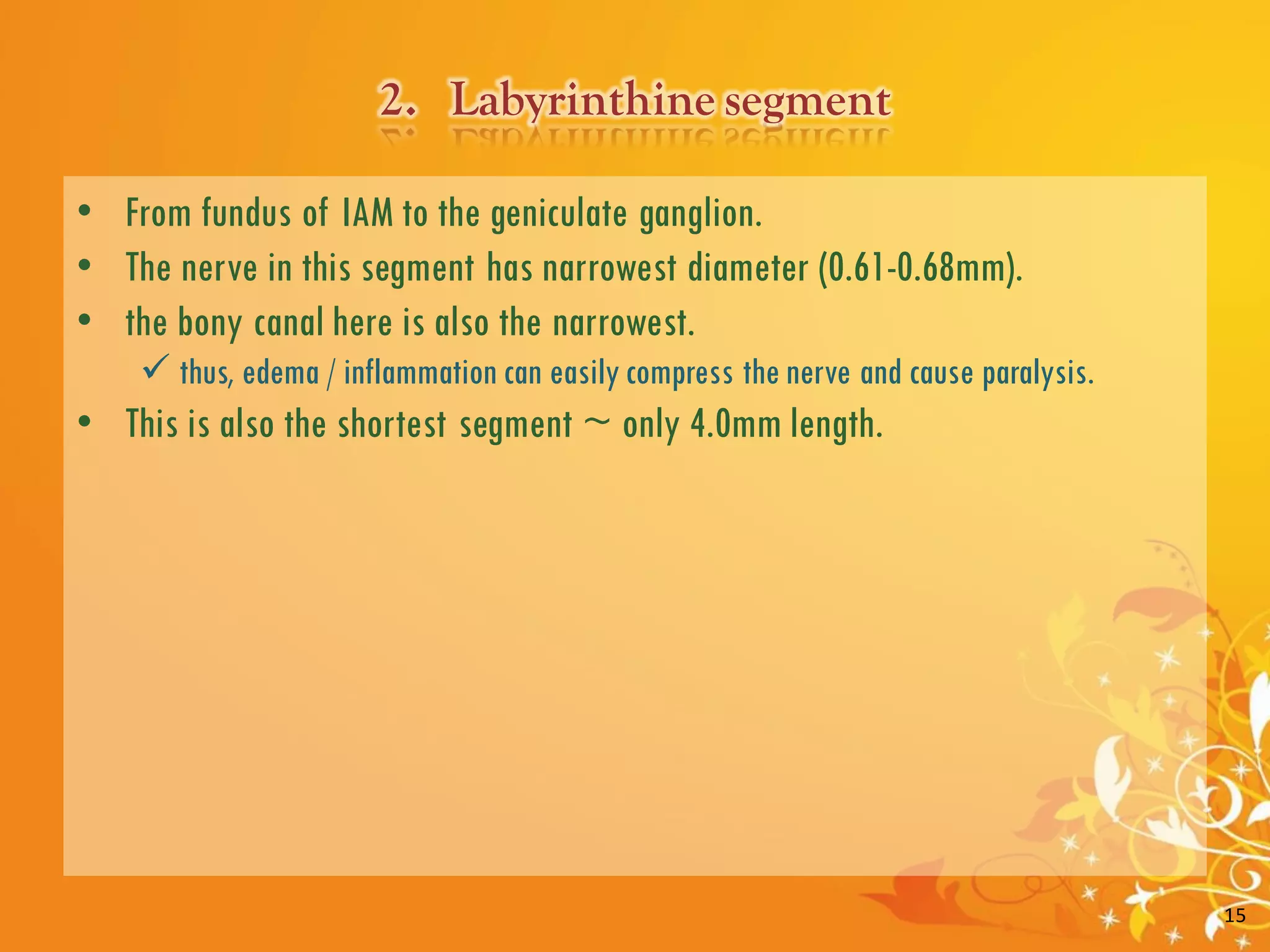 Facial Nerve and Its Clinical Importance | PDF