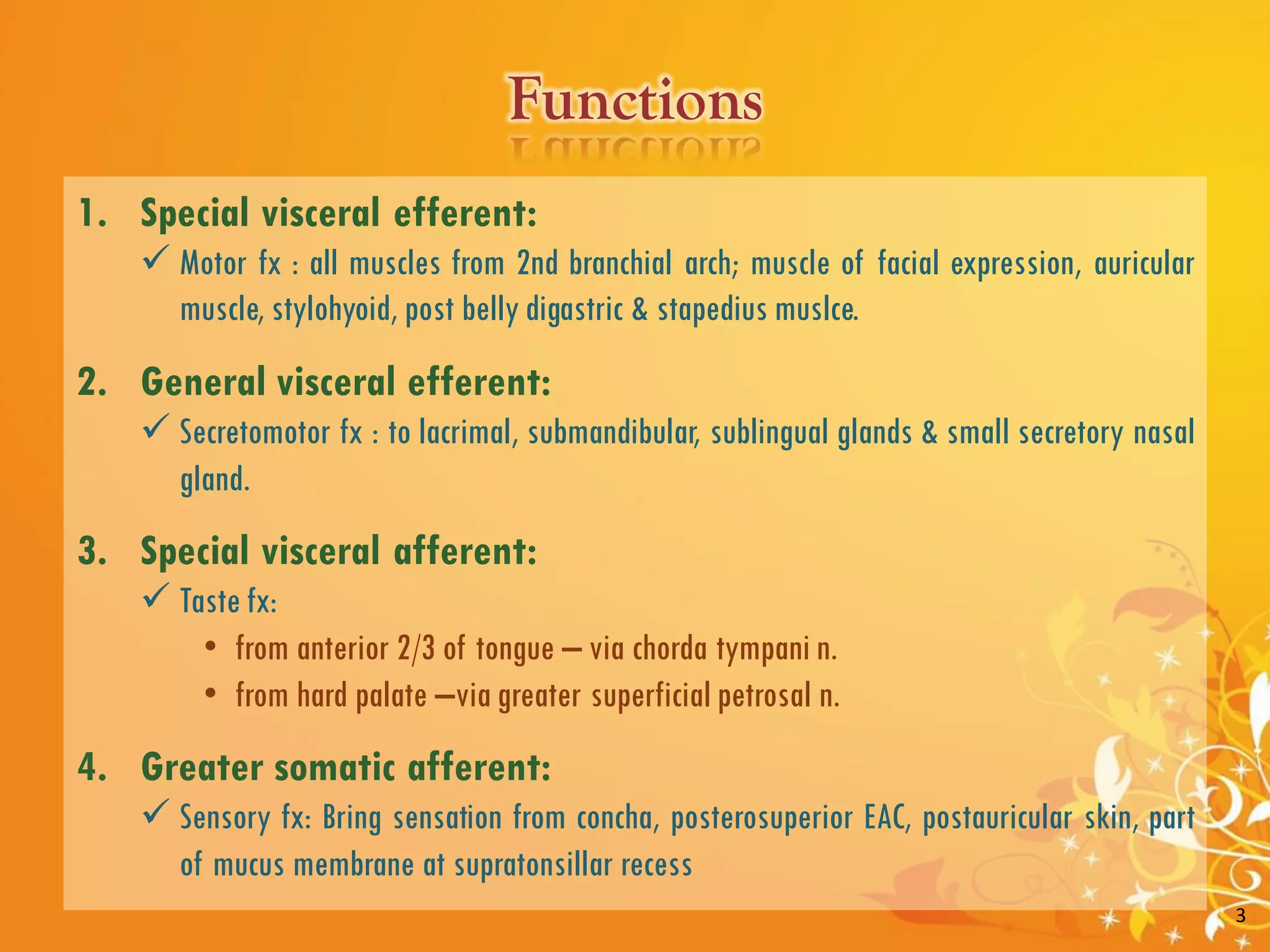 Facial Nerve and Its Clinical Importance | PDF