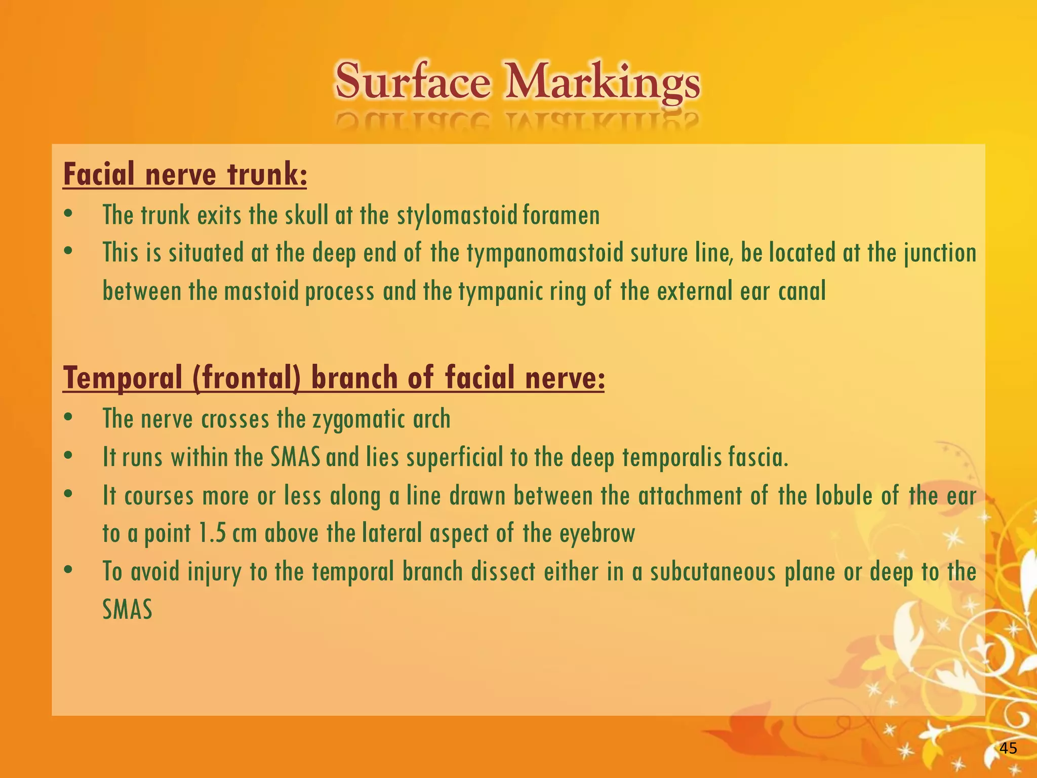 Facial Nerve and Its Clinical Importance | PDF