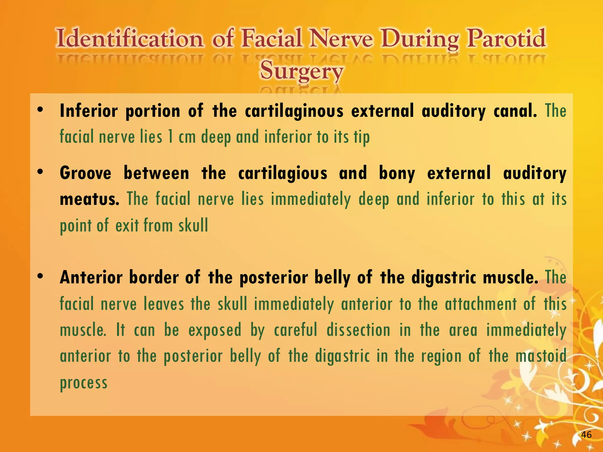 Facial Nerve and Its Clinical Importance | PDF