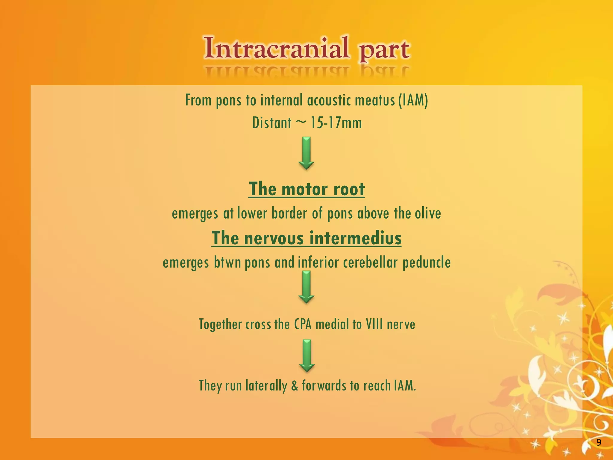 Facial Nerve and Its Clinical Importance | PDF