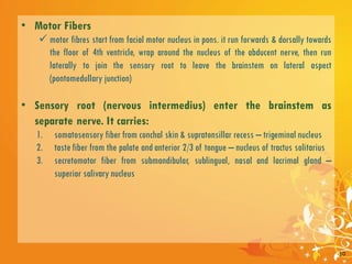 Facial Nerve and Its Clinical Importance | PDF