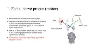 Facial nerve and its disorder UG MBBS.pptx