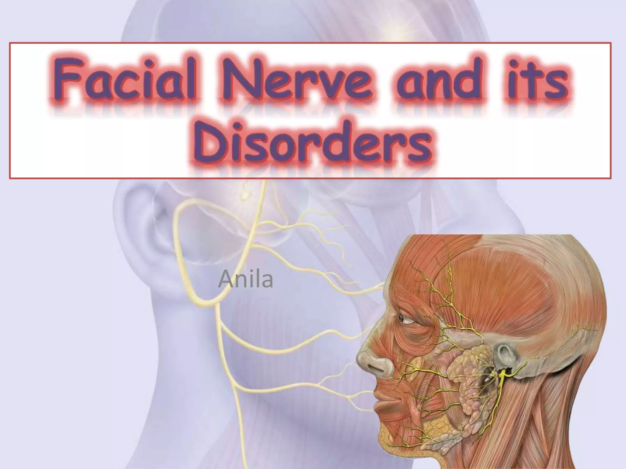 Facial nerve and its disorders | PPTX
