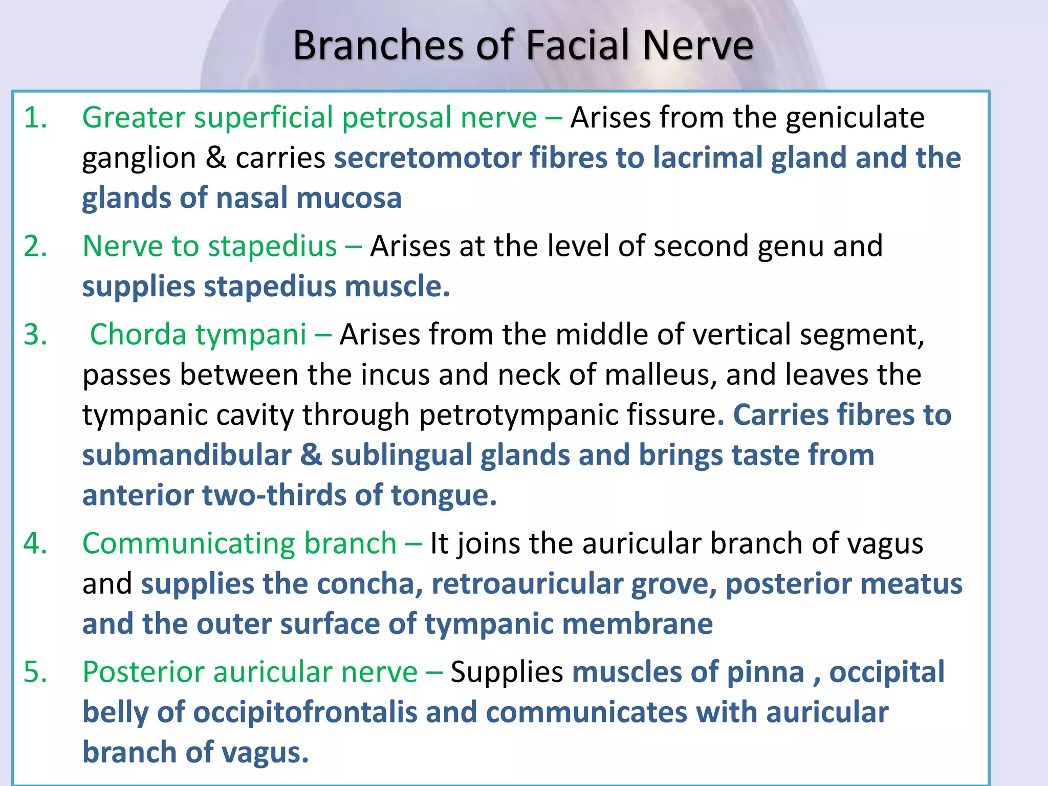Facial nerve and its disorders | PPTX