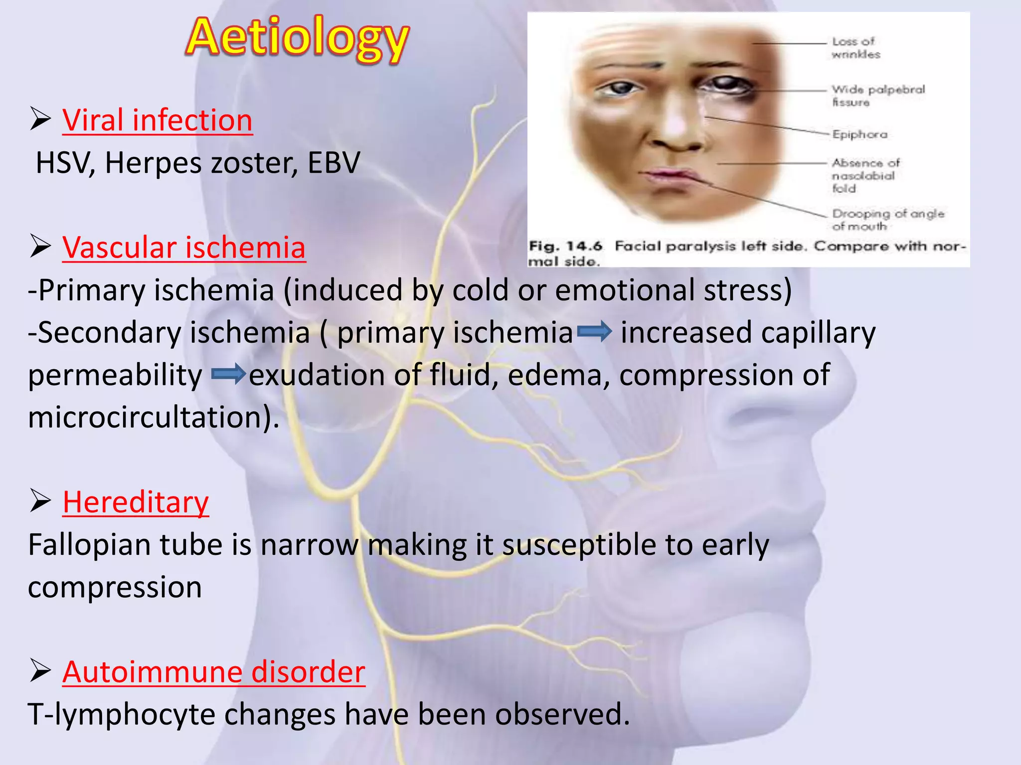 Facial nerve and its disorders | PPTX