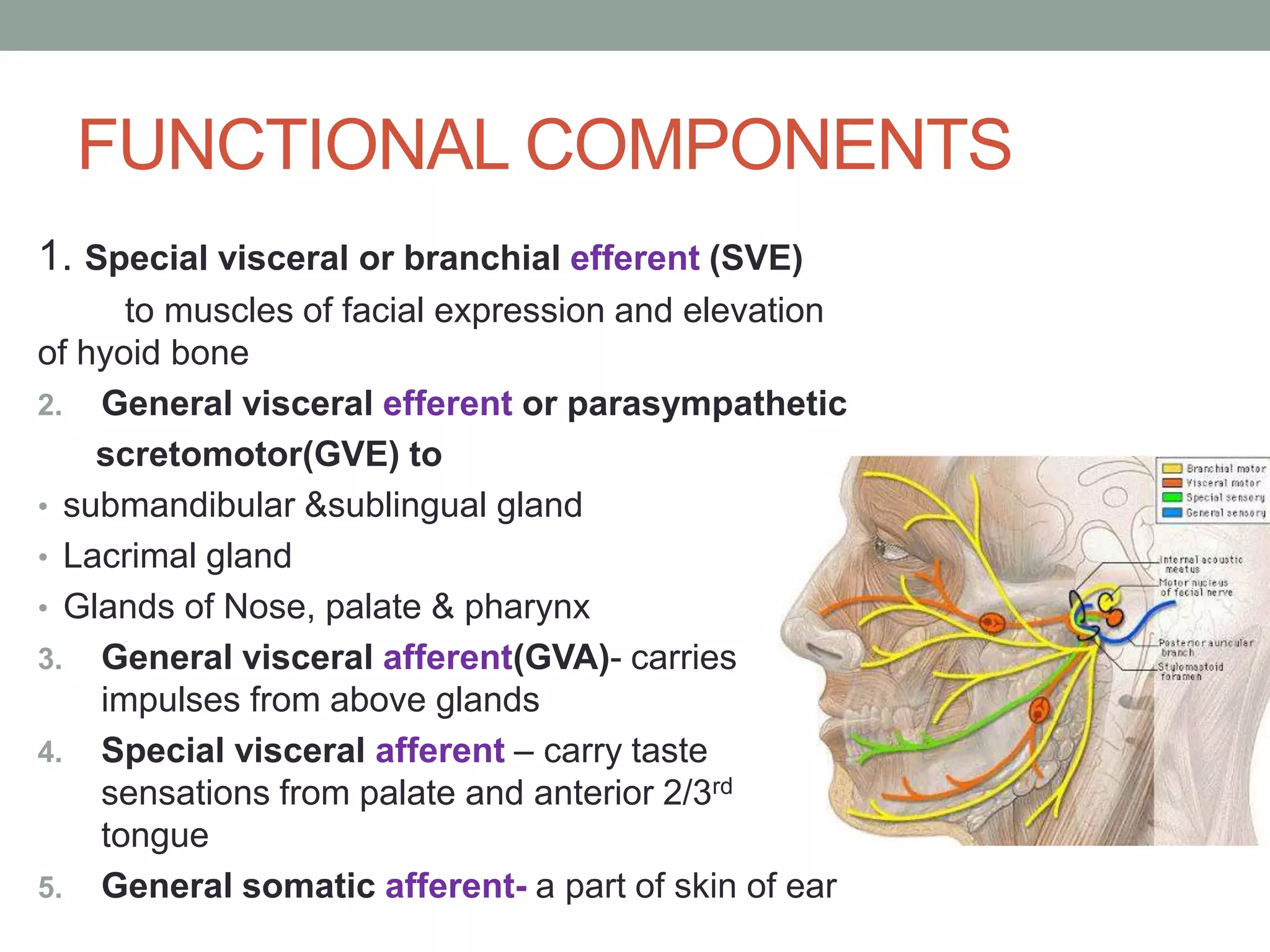 Facial nerve and its disorders | PPTX