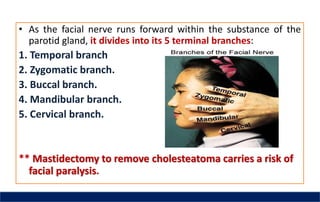 Facial nerve and palsy | PPTX
