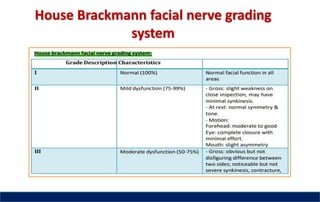 Facial nerve and palsy | PPTX