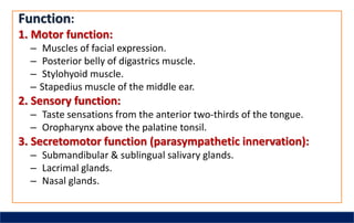 Facial nerve and palsy | PPT