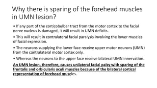 facial nerve and its disorders.pptx
