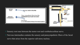 FACIAL NERVE AND ITS APPLIED ANATOMY BY Dr. AASTHA DUBEY | PPTX