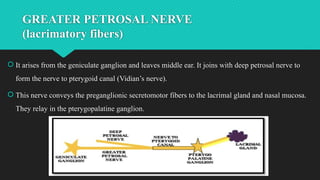 FACIAL NERVE AND ITS APPLIED ANATOMY BY Dr. AASTHA DUBEY | PPTX